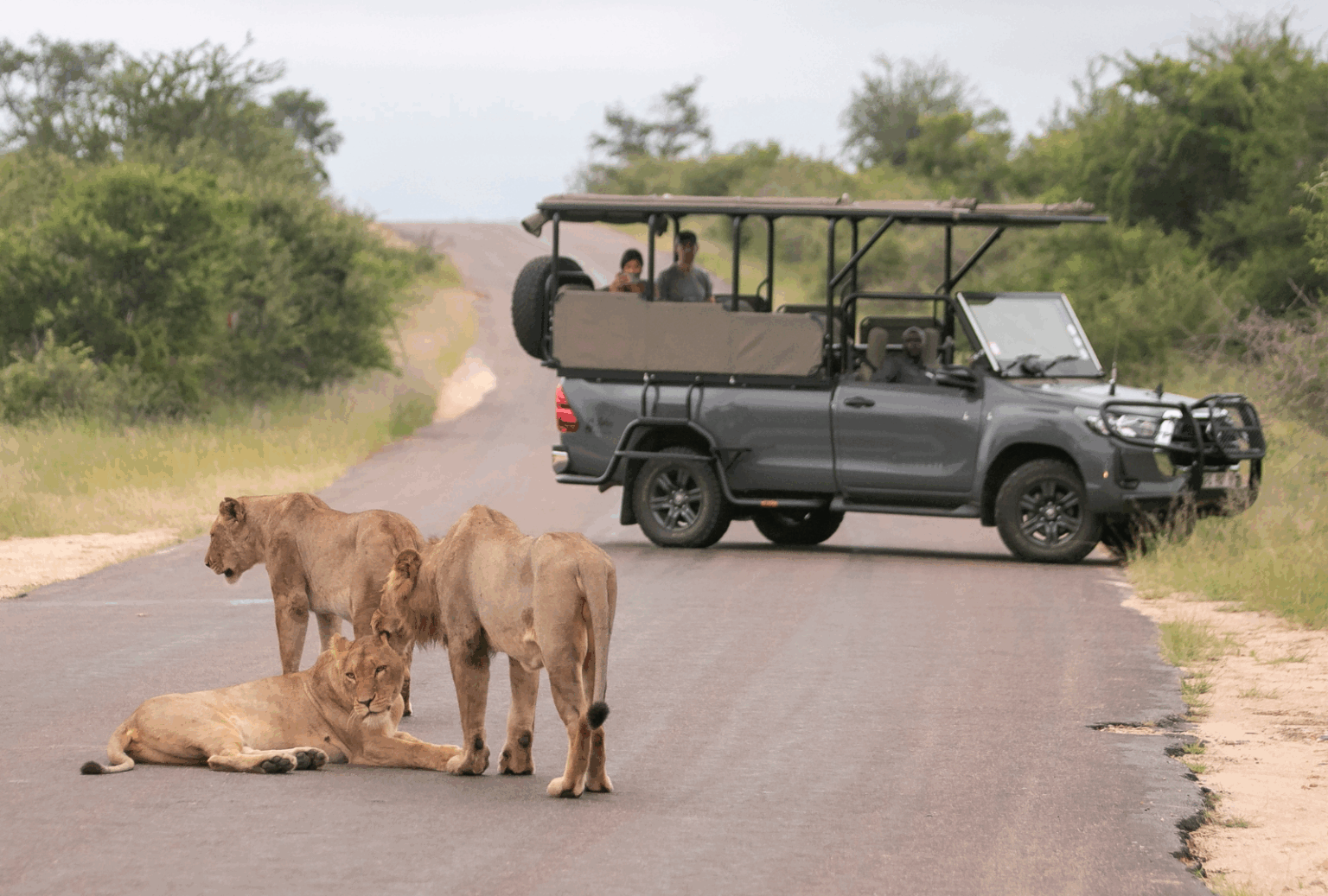 Parc national Kruger - Namwel Tours & Car Rentals
